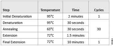 Using GoTaq Long PCR Master Mix for T-Vector Cloning