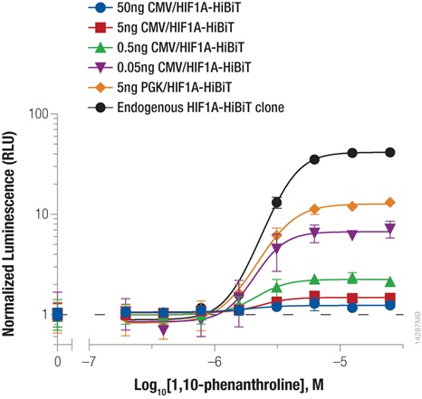 Quantifying Protein Abundance at Endogenous Levels