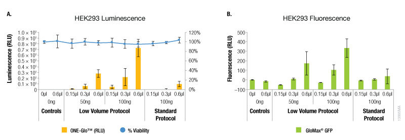 Alternate Protocol for Maximizing Transfection Efficiency Using ViaFect ...